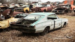 8 Types of Auto Salvages to Save You Money [Quick Guide + Infographic]